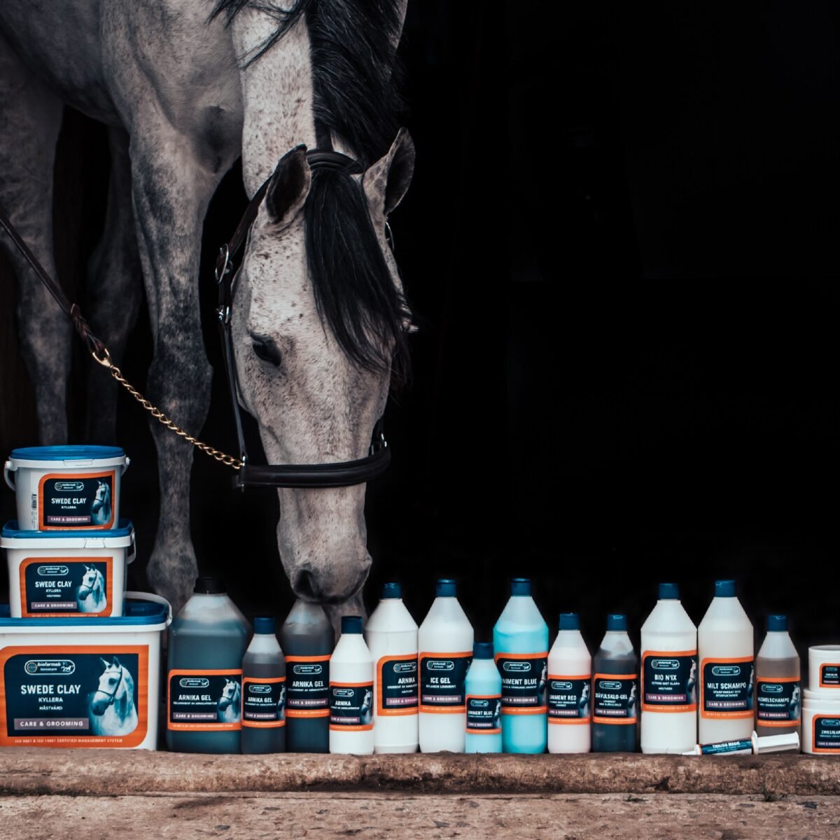 Buy Veterinary Medicines Online - Horse Vet Meds From Your Home